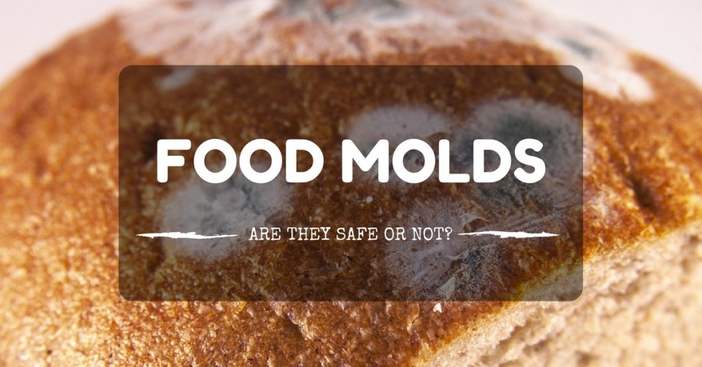 Food Molds: Are They Safe Or Not? Let's Find Out Together
