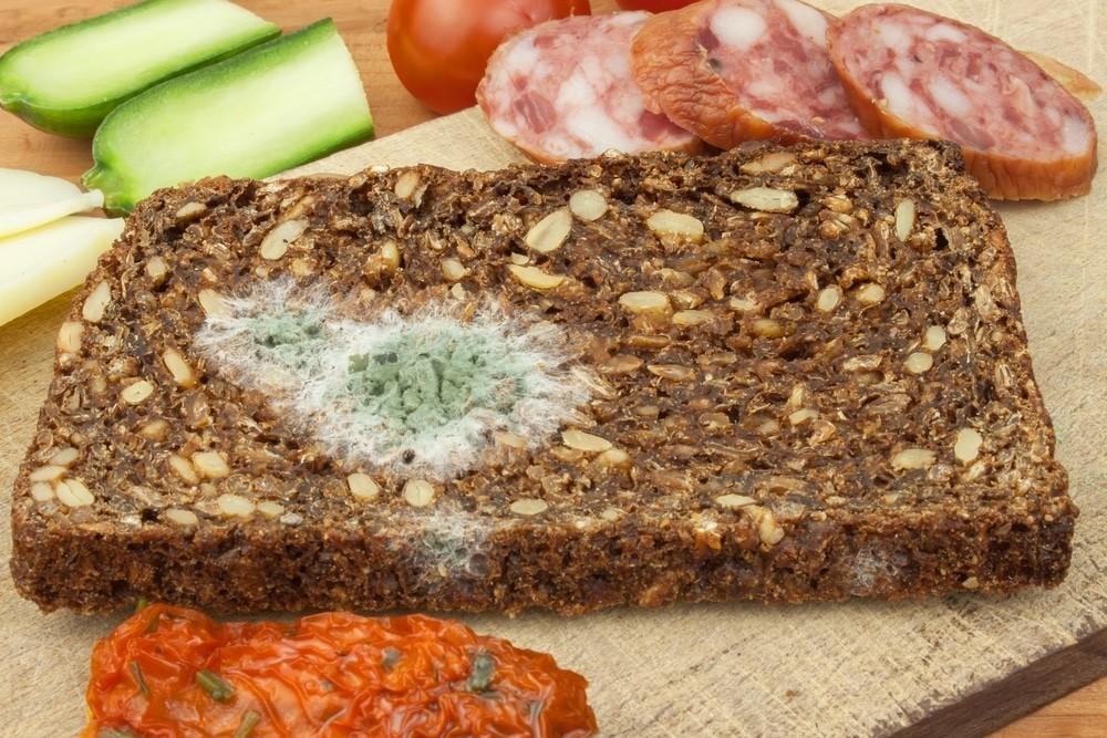 Food Molds: Are They Safe Or Not? Let's Find Out Together