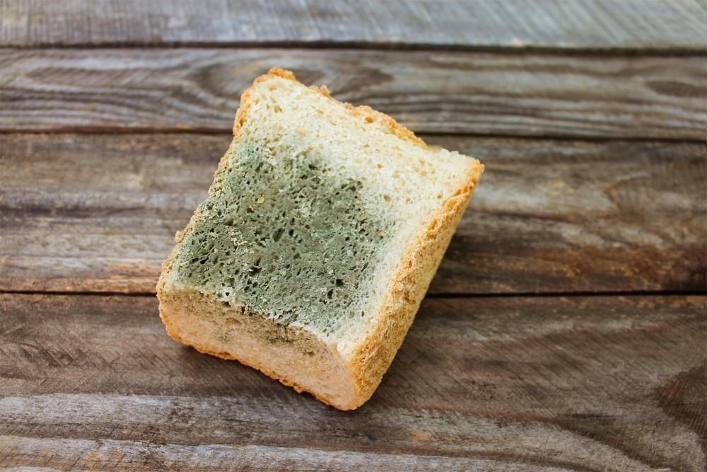 Food Molds: Are They Safe Or Not? Let's Find Out Together