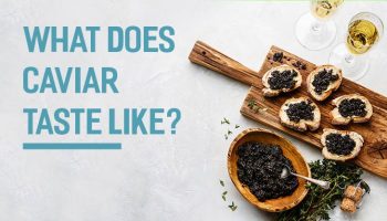 What Does Caviar Taste Like? Interesting Facts About Caviar 2017
